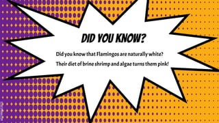 Perez · SlidesMania.pptx