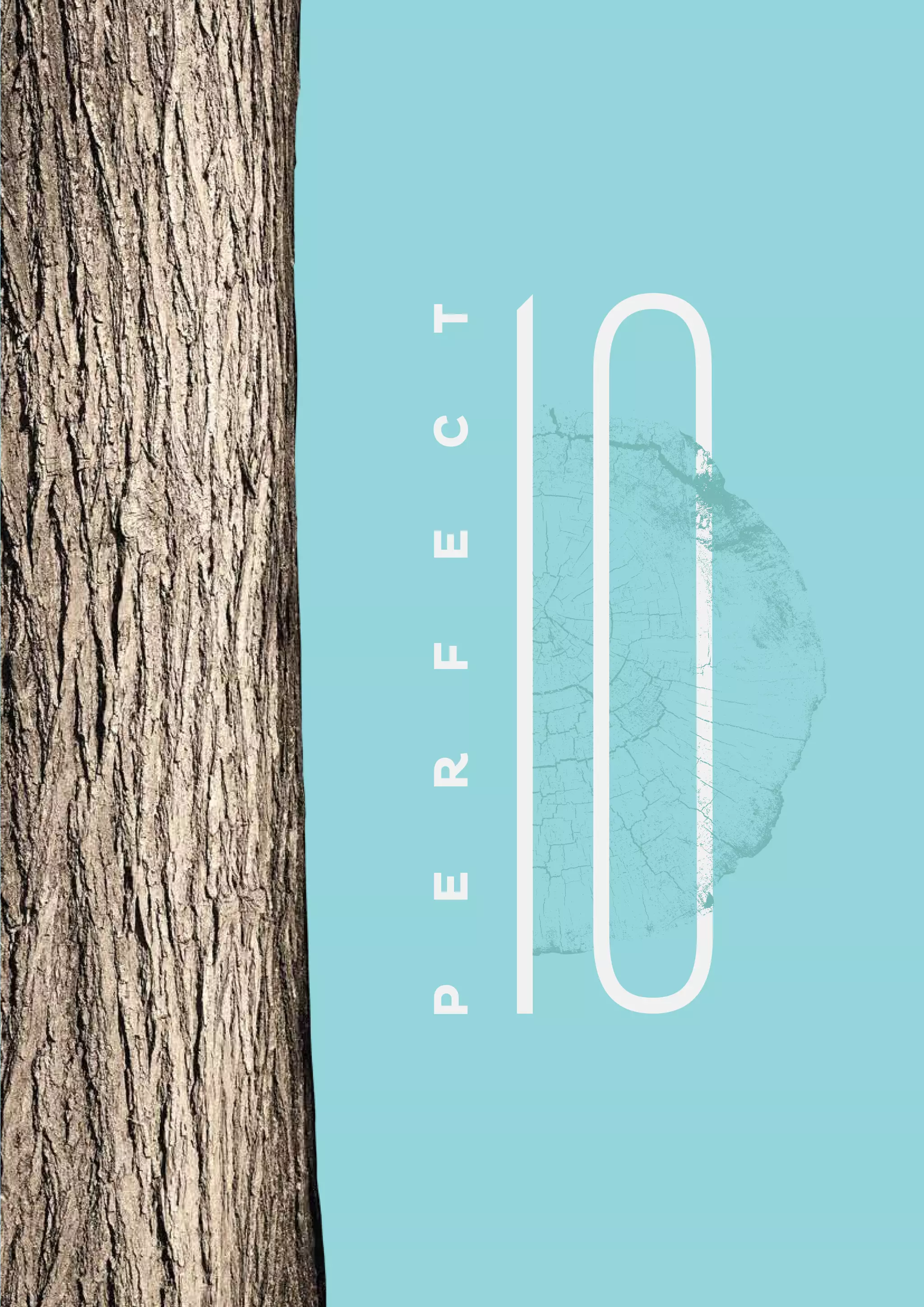 Perfect 10 Veneer Collection Catalogue for Your Home Decor - Decowood ...