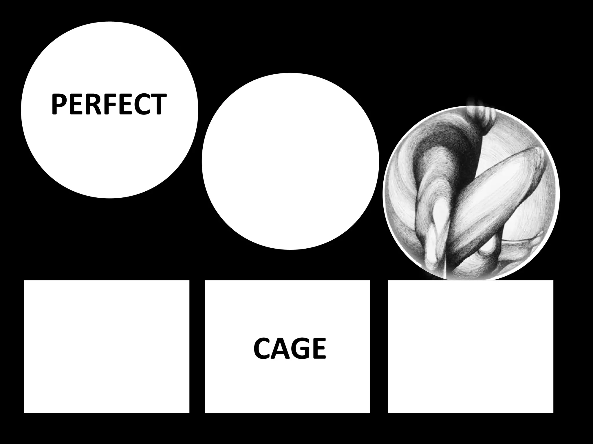 Perfect cage | PPT