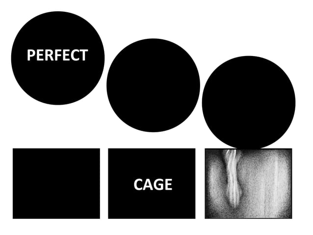 Perfect cage | PPT