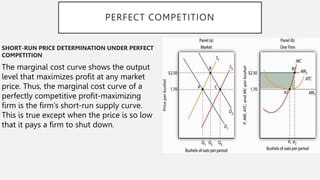 perfect competition.pptx