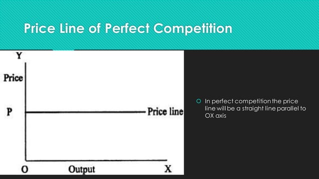 perfect competition.pdf