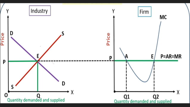 perfect competition.pdf