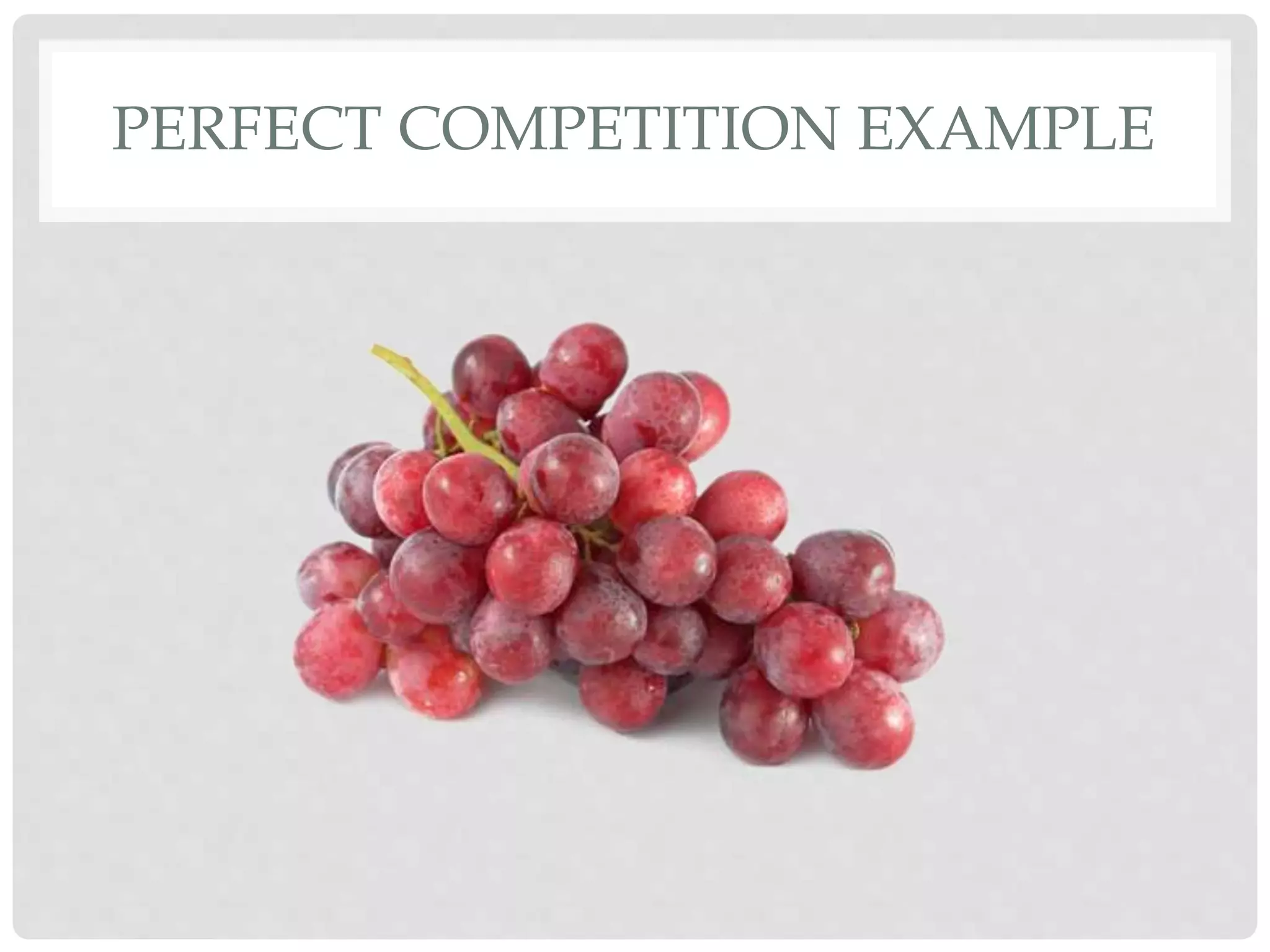 Perfect Competition and Monopolies 22.pptx