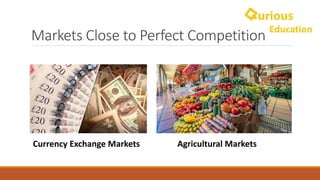 Perfect Competition Notes - A-level & IB Economics | PDF