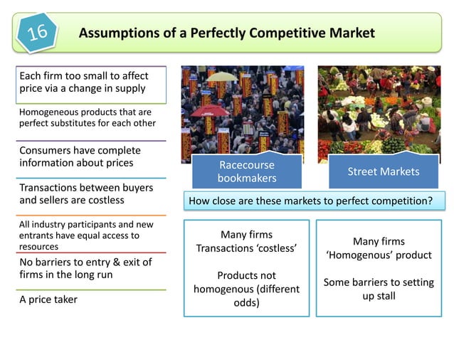 Perfect competition summary | PPTX