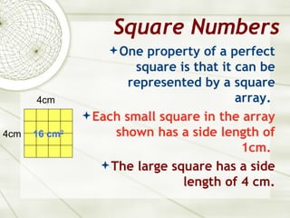 Perfect squares & square roots lesson 12 | PPT
