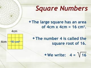 Perfect squares & square roots lesson 12 | PPT