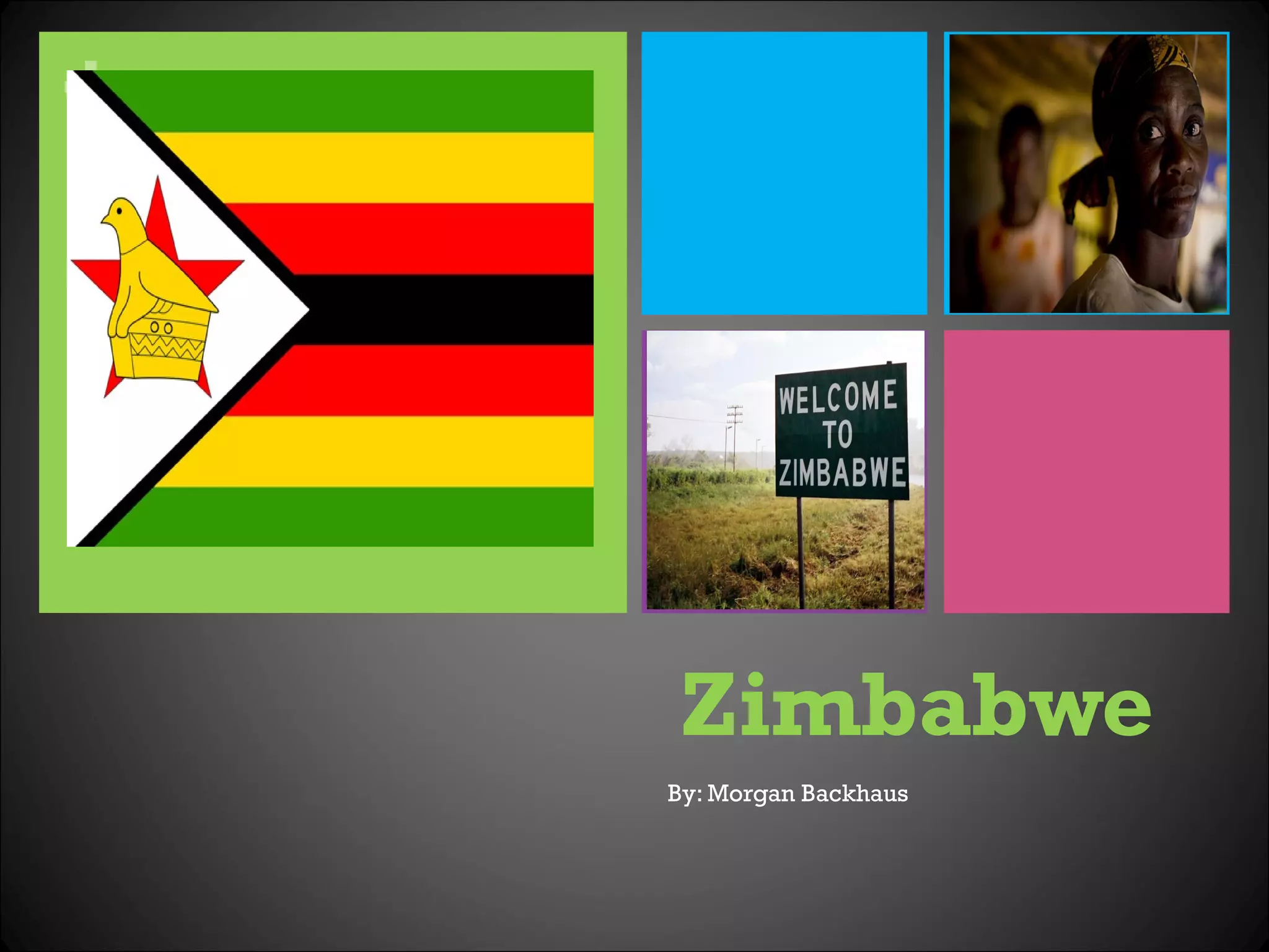 Perfect zimbabwe project | PPT