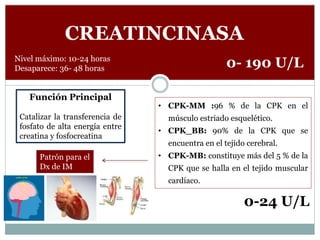 Perfil cardiaco | PPTX