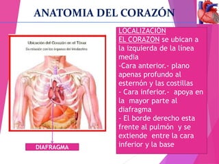 perfil cardiaco 2024 universidad mayor de san simon .pdf