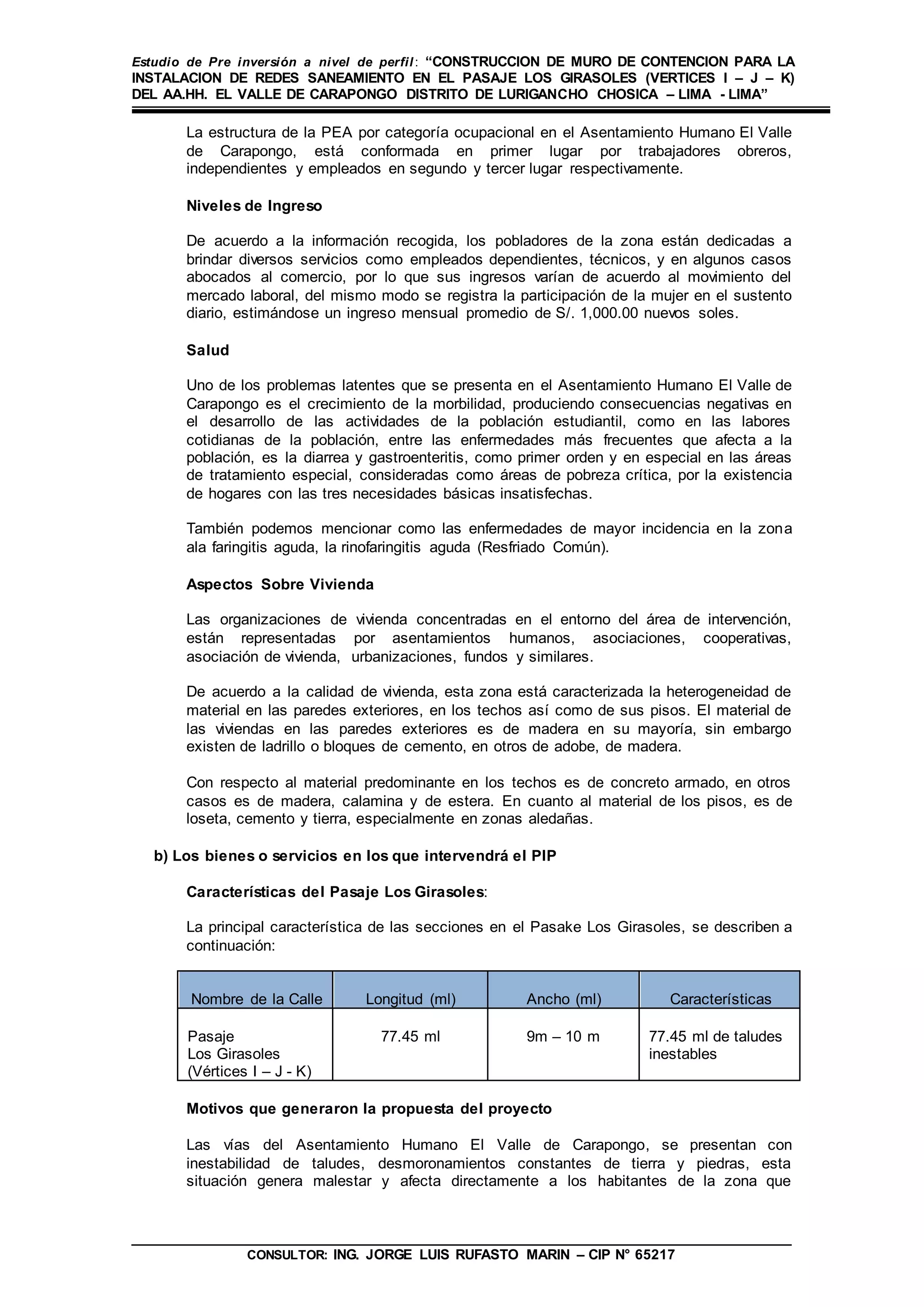 Perfil de pre inversion pasaje los girasoles | DOCX | Developmental ...