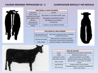 Perfiles conformacion | PPTX