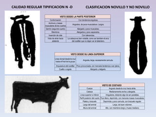 Perfiles conformacion | PPTX