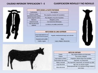 Perfiles conformacion | PPTX