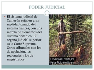 Perfil politico de Camerun | PPTX