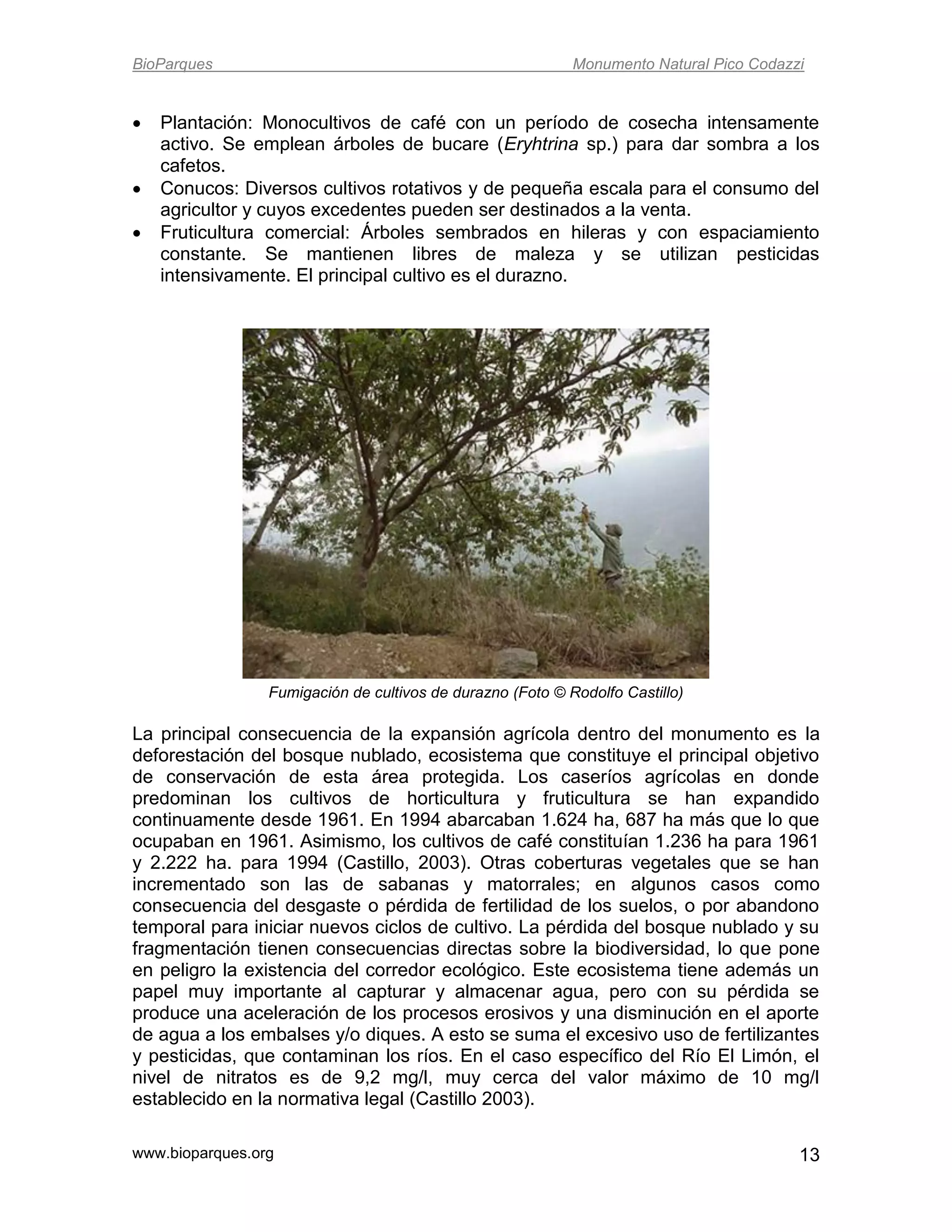 Monumento Natural Pico Codazzi (2003) | PDF