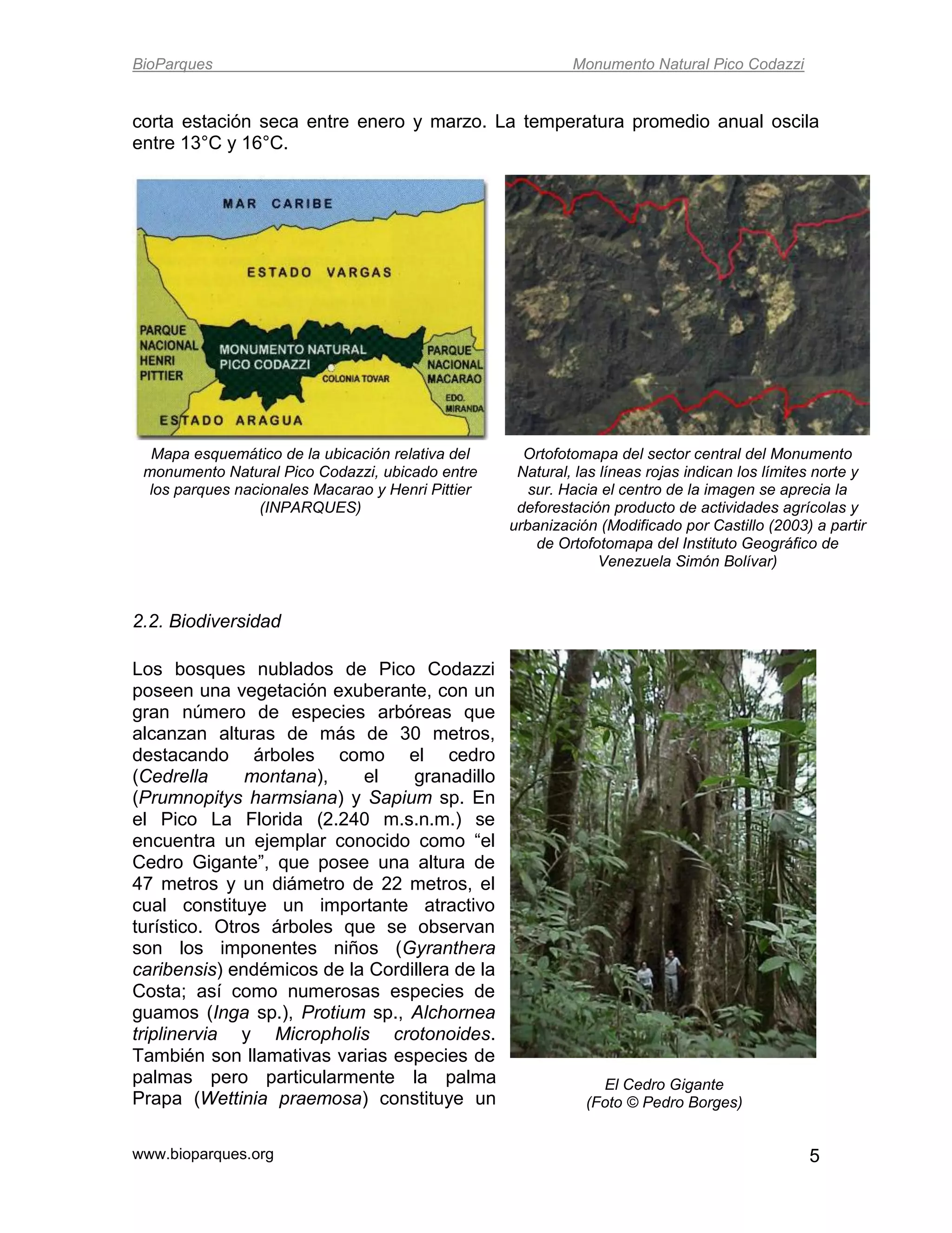 Monumento Natural Pico Codazzi (2003) | PDF