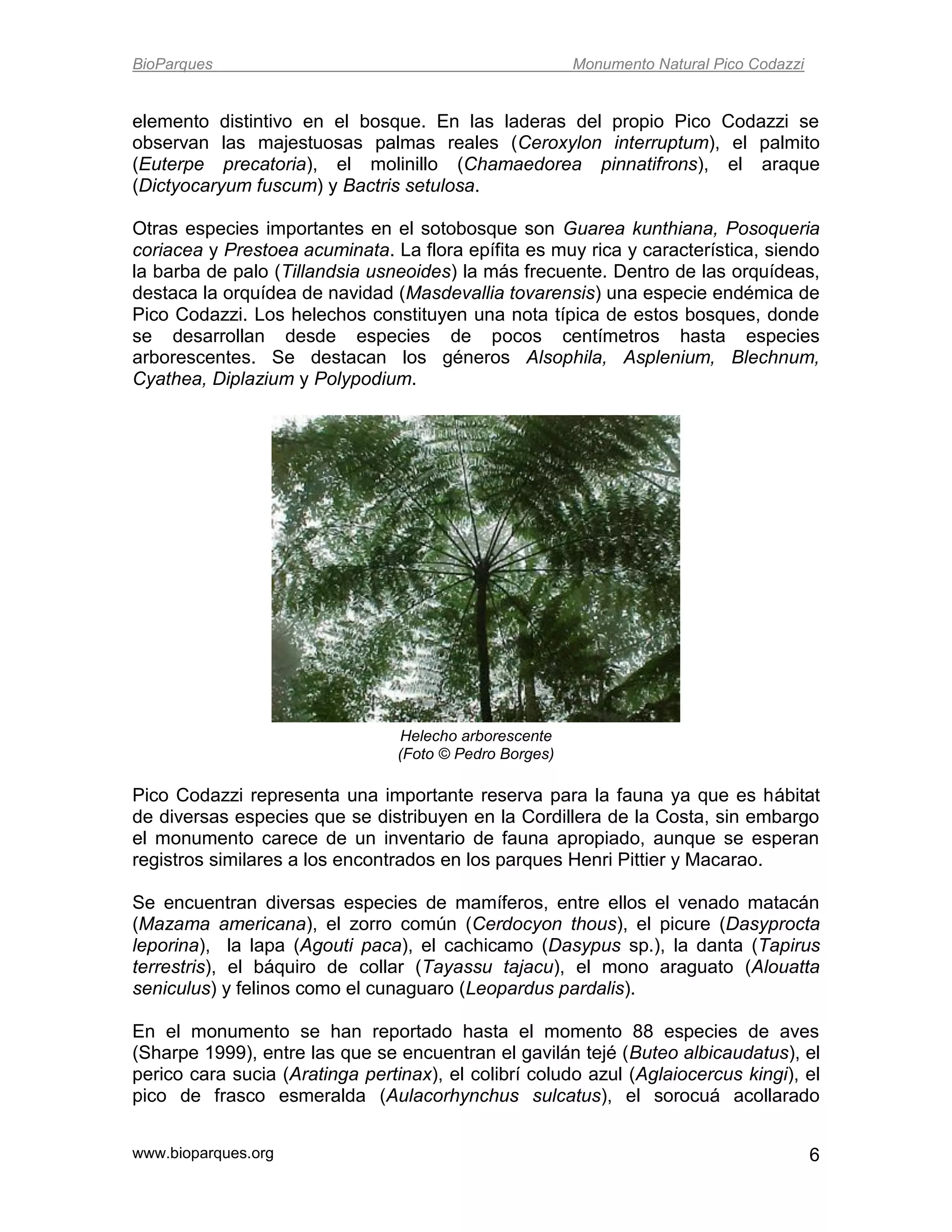 Monumento Natural Pico Codazzi (2003) | PDF