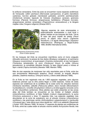 Parque Nacional El Ávila (2002) | PDF