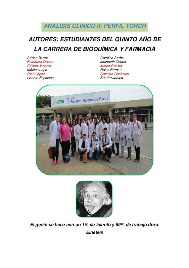 Perfil Torch
