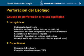 Perforación esofago | PPT