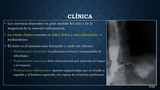 Manejo quirúrgico de la Perforacion esofagica | PPTX