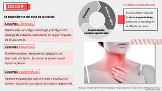 Perforacion esofagica | PPTX