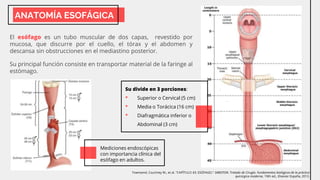 Perforacion esofagica | PPTX