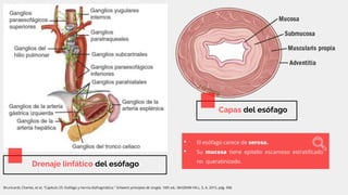 Perforacion esofagica | PPTX