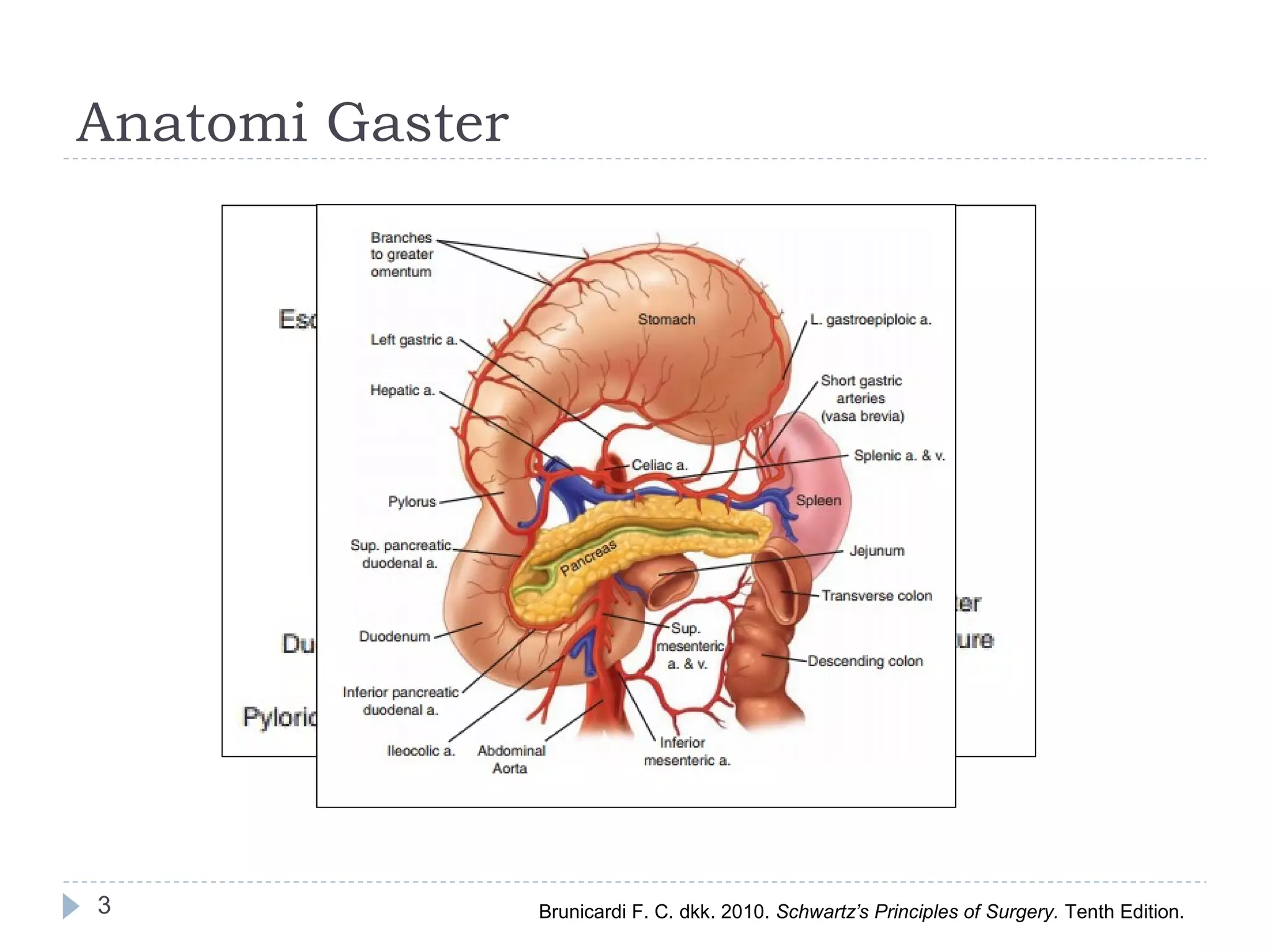Perforasi gaster | PPT