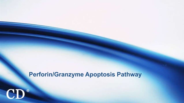 Perforin/granzyme apoptosis pathway | PPTX | Biological Sciences | Science