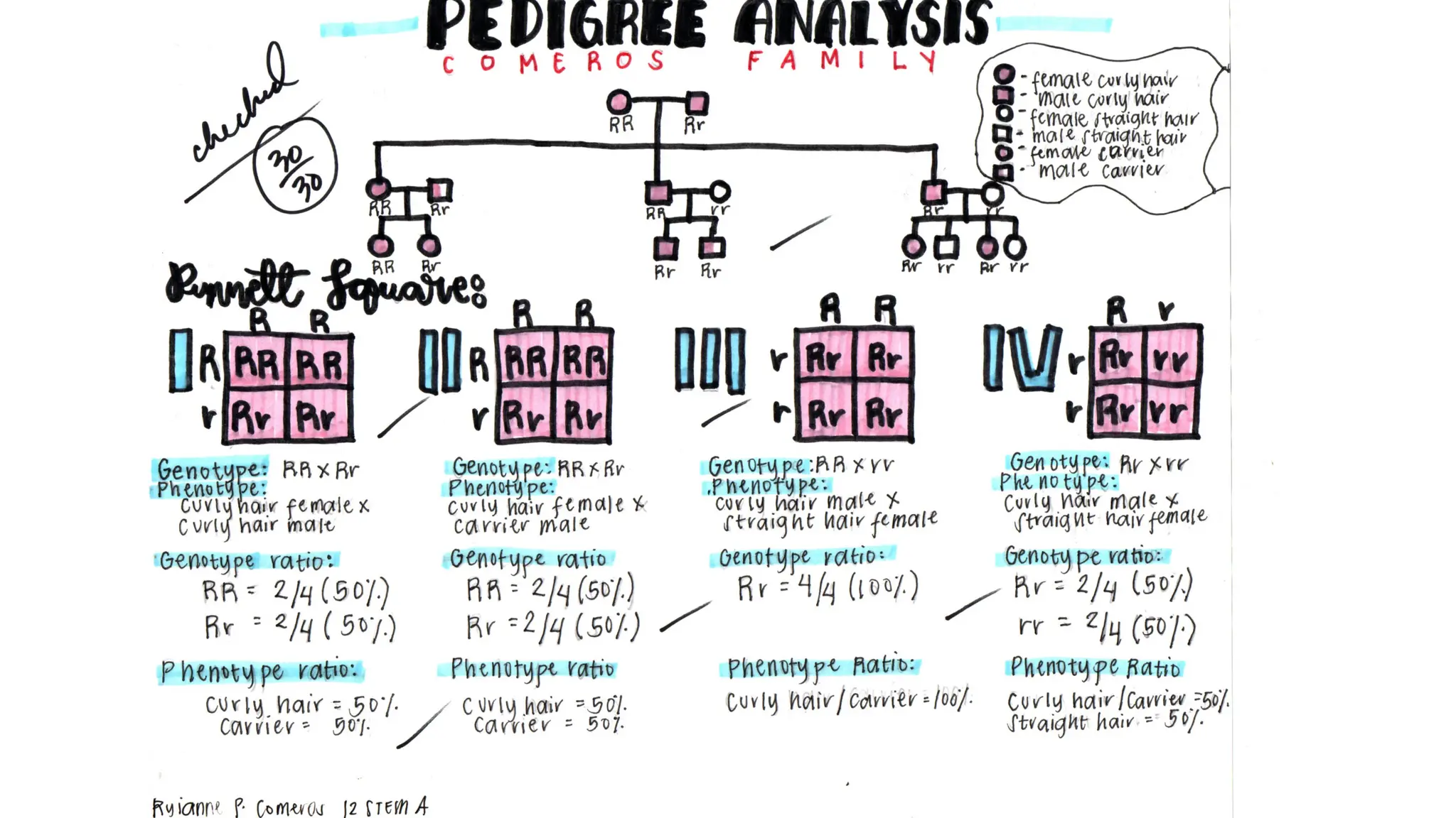 Performance-Task-1Pedigree-Analysis.pptx