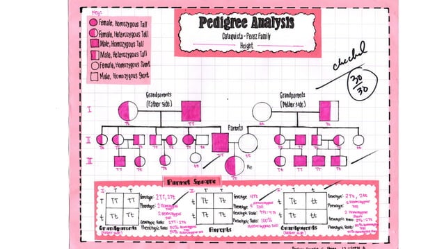 Performance-Task-1Pedigree-Analysis.pptx