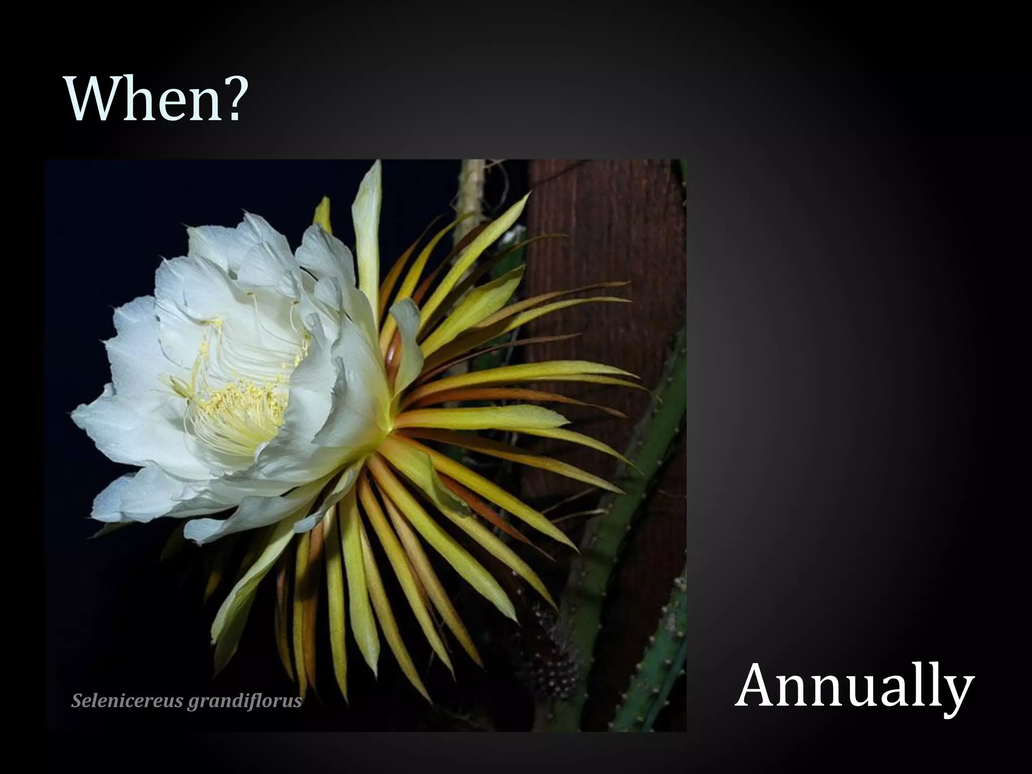 Performance Appraisal (Part-2/2: Graphical Representation) | PDF ...