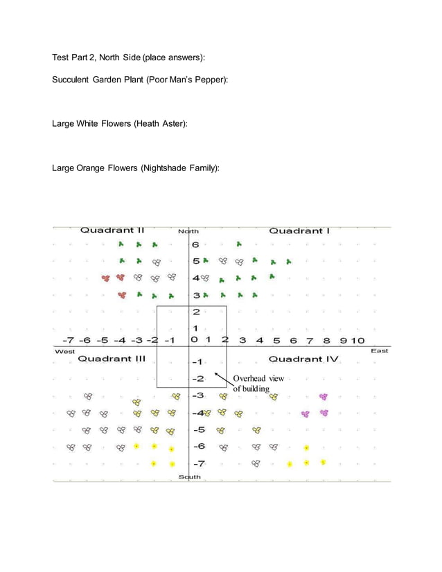 Performance assessment on coordinate plane | DOCX