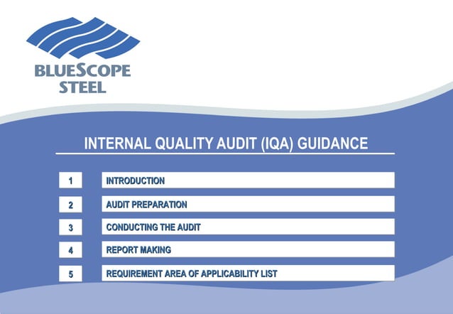 Performance Based Internal Quality Audit Guide | PPT