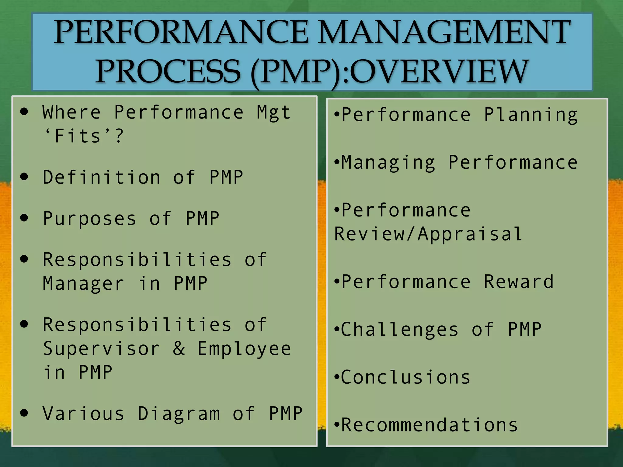 Chapter 2: Performance Management Process | PPTX