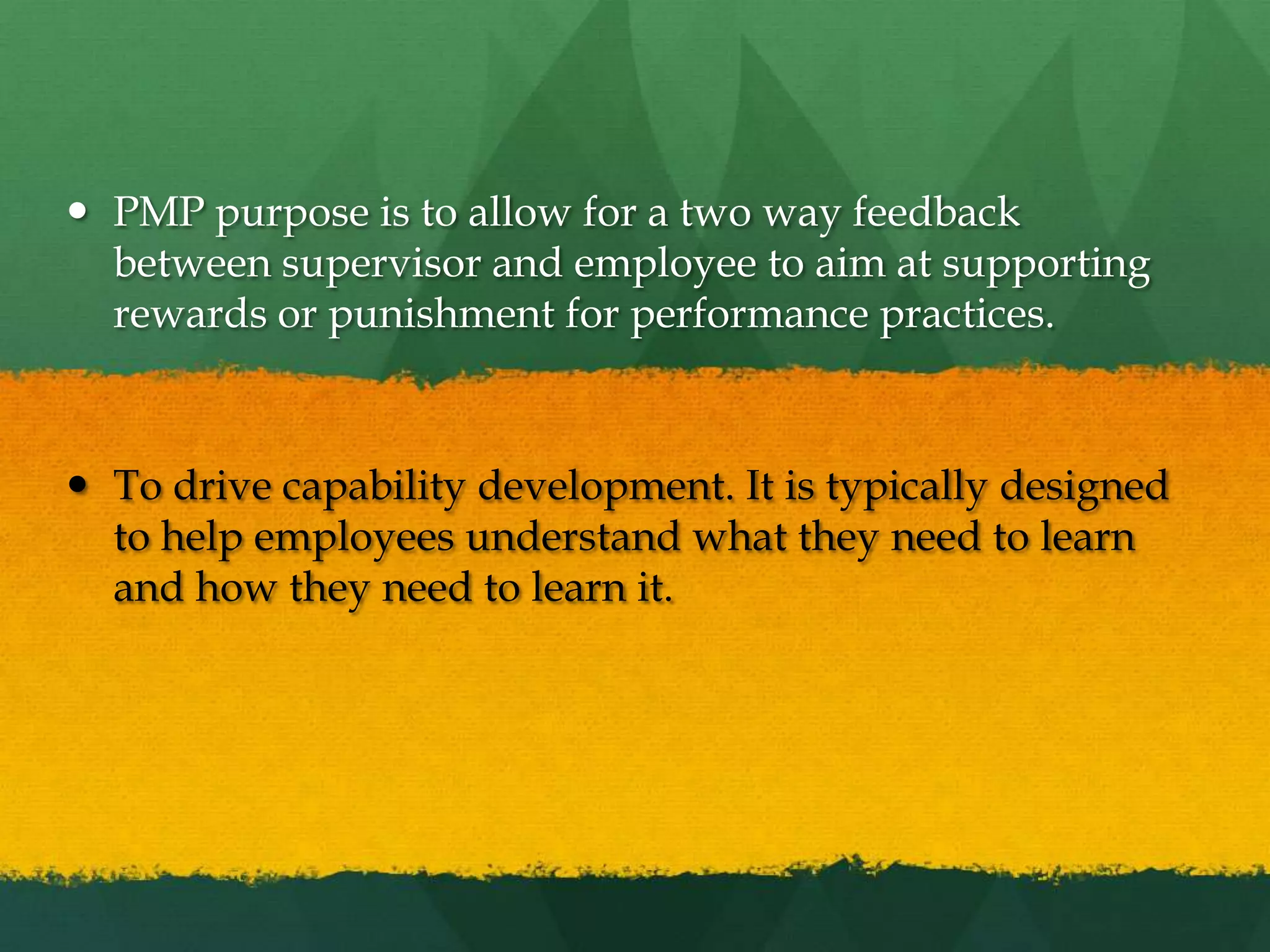 Chapter 2: Performance Management Process | PPTX