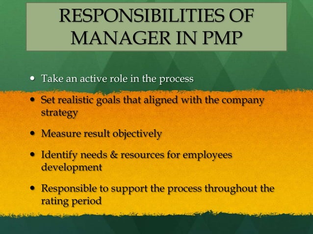 Chapter 2: Performance Management Process | PPTX