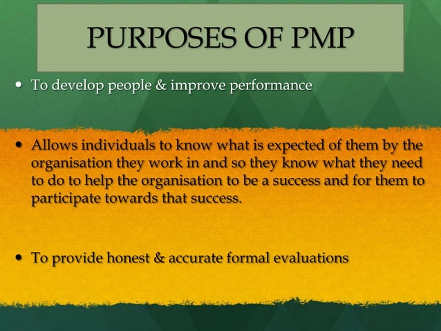 Chapter 2: Performance Management Process | PPTX