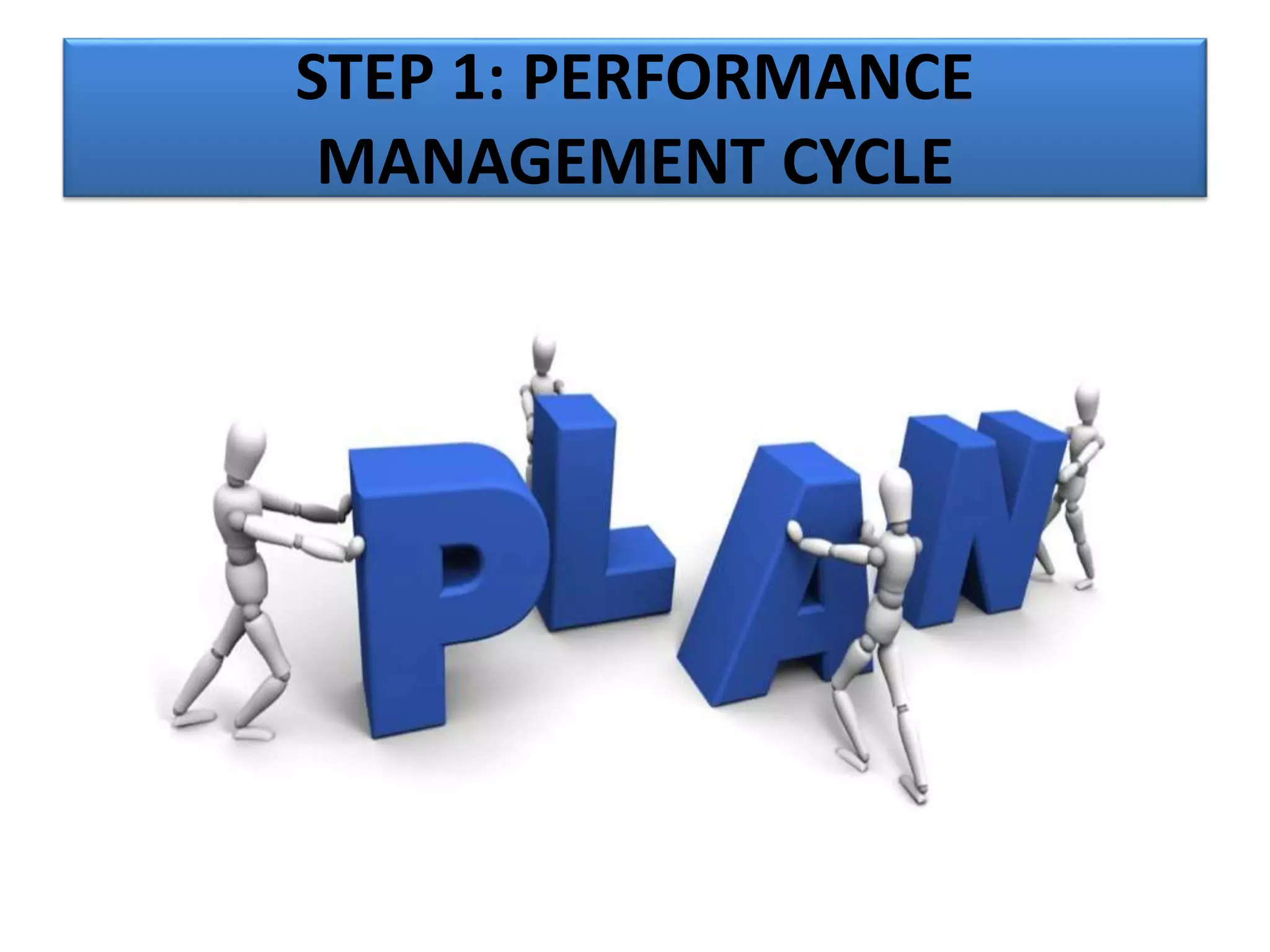 Performance management – Best Practice Process and Principles | PPTX