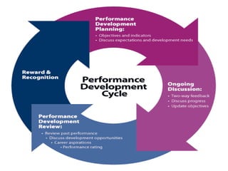 Performance management – Best Practice Process and Principles | PPTX