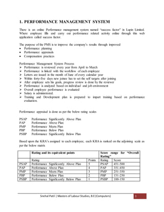 Performance Management System | PDF