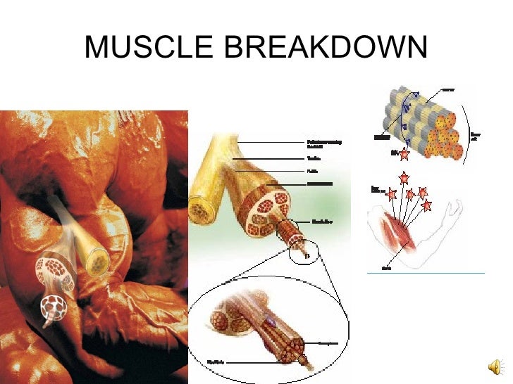 Performance Nutrition Simplified