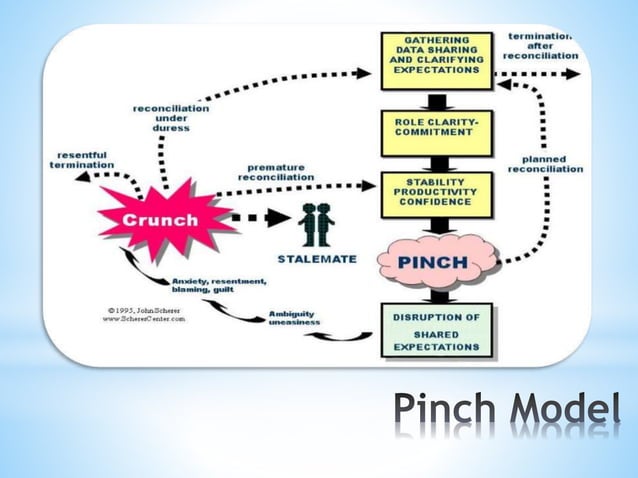 Performance Oriented Organisation Behaviour 1 Ppt