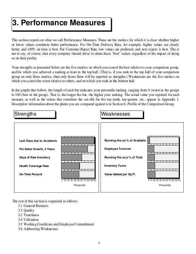 Performance report sample