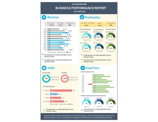 Performance Report Template - Finance Dashboard.pdf
