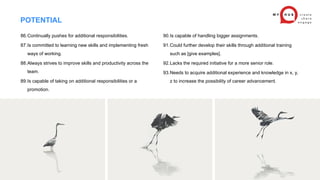 100 Performance Review Example Phrases | PDF