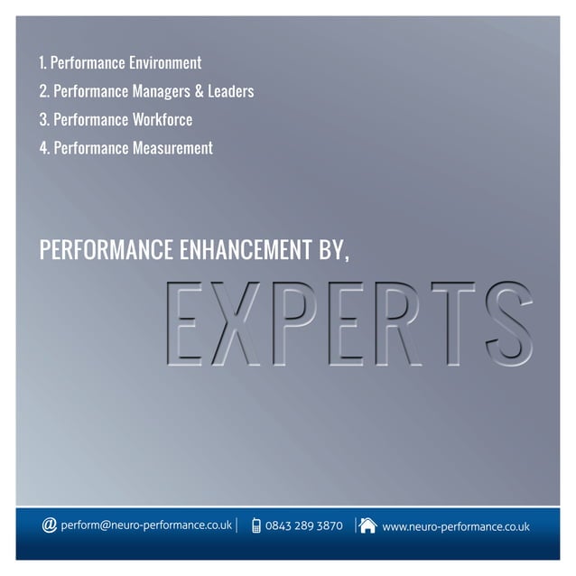 Performance Synchrony : The Ultimate Business Performance Approach | PDF